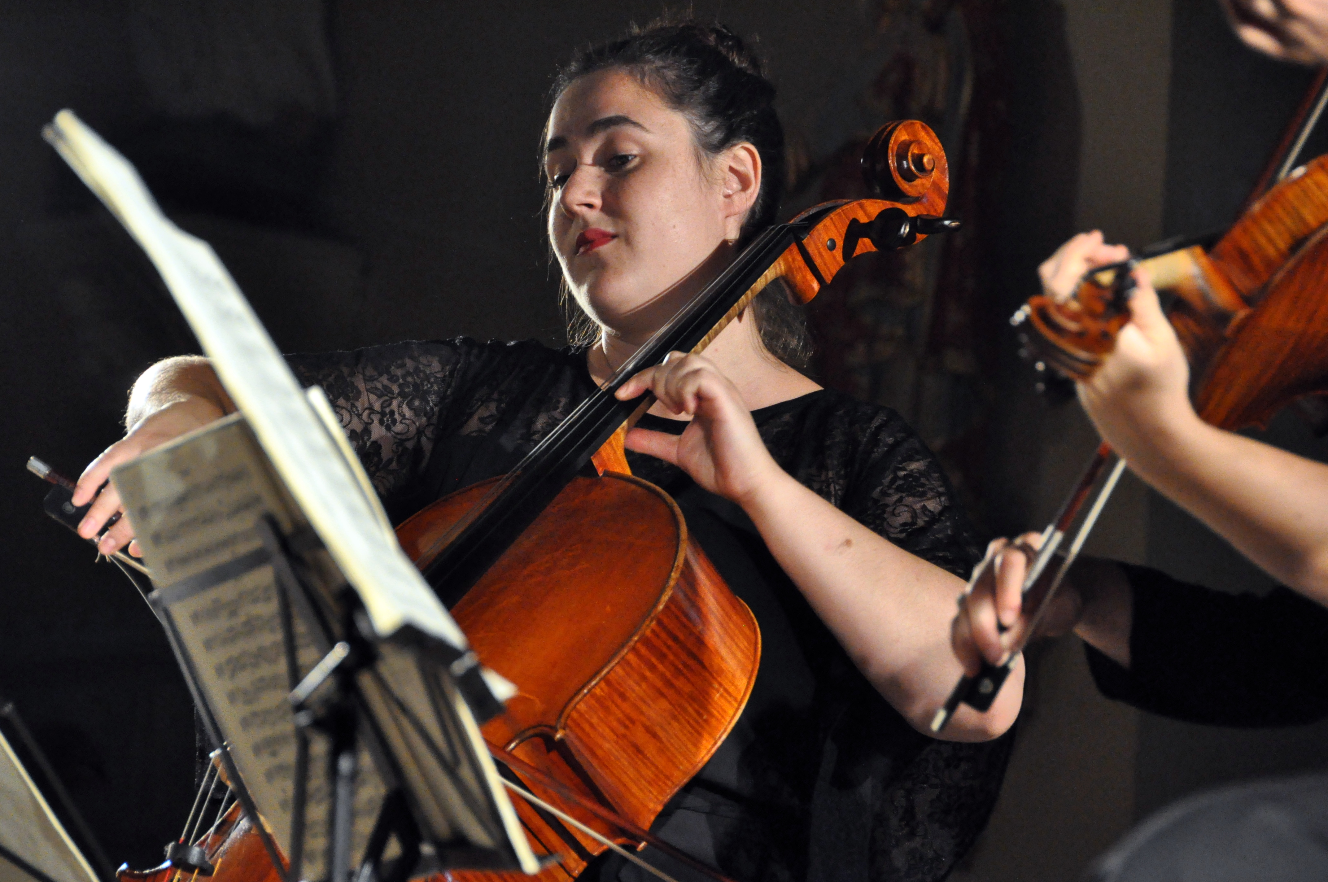 Michèle Pierre au violoncelle Ph. JF Moulian – Musiques à Bougue